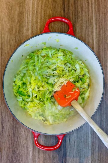 Easy Sautéed Cabbage - Hungry Healthy Happy
