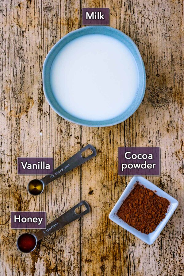 Easy Microwave Hot Chocolate - Hungry Healthy Happy